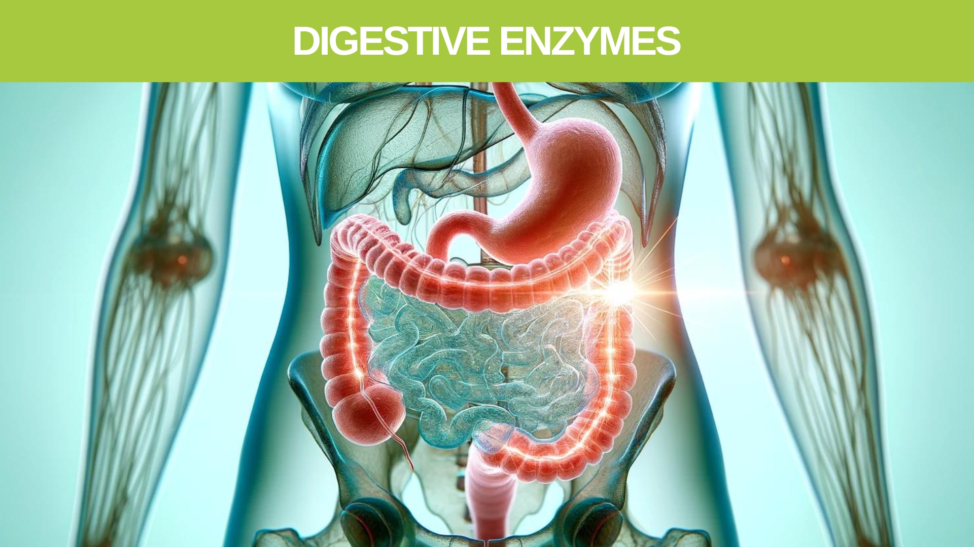 Understanding Digestive Enzymes in Food - Brett Elliott