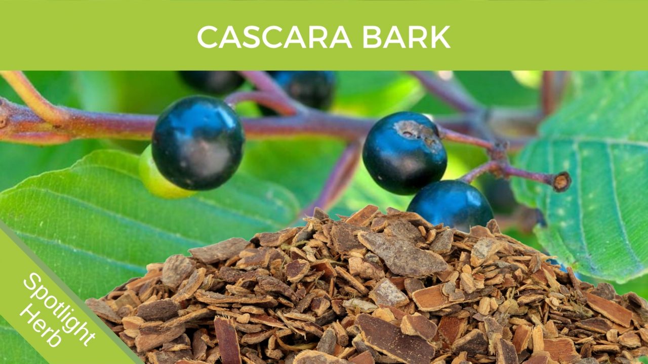 Cascara Sagrada (Rhamnus purshiana) Herbal Monograph - Brett Elliott
