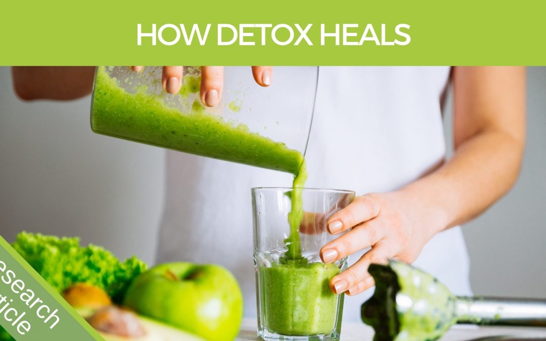 How a DETOX program triggers the healing process - Brett Elliott