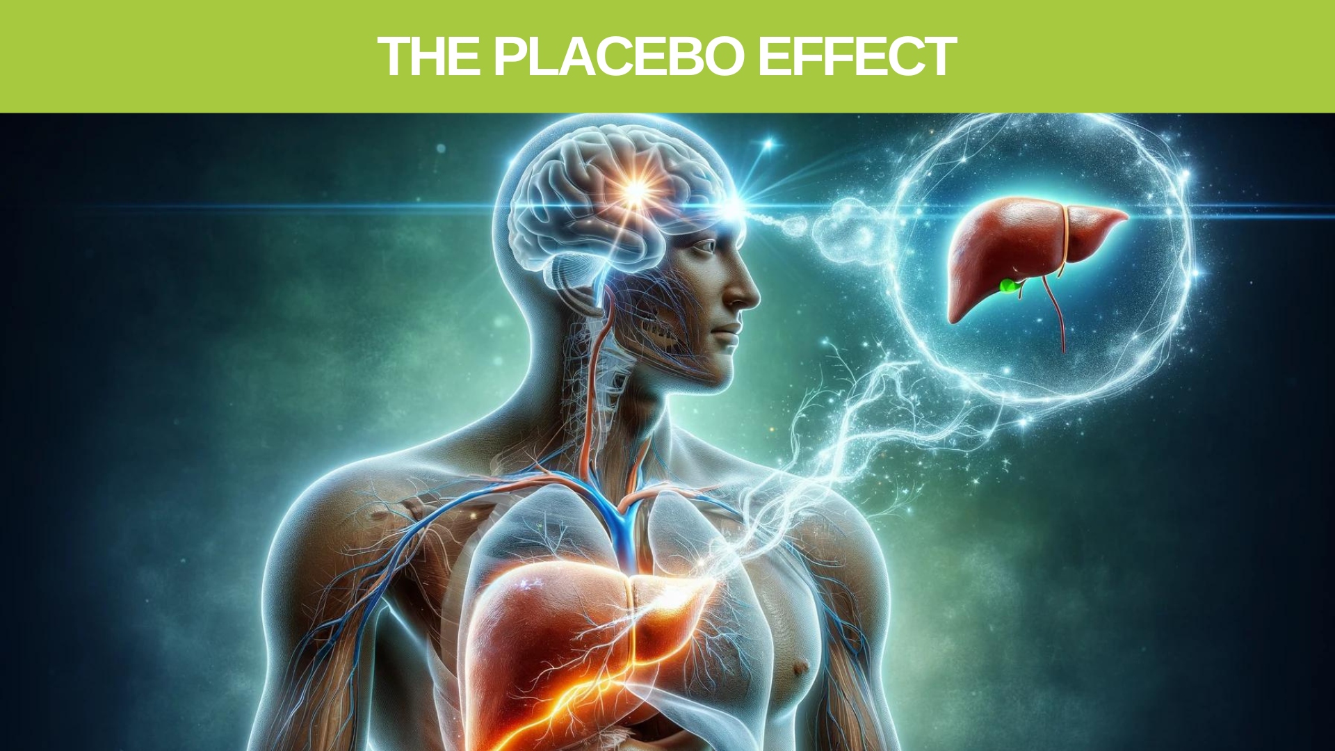 5 Ways A Detox Program Can Trigger The Healing Process