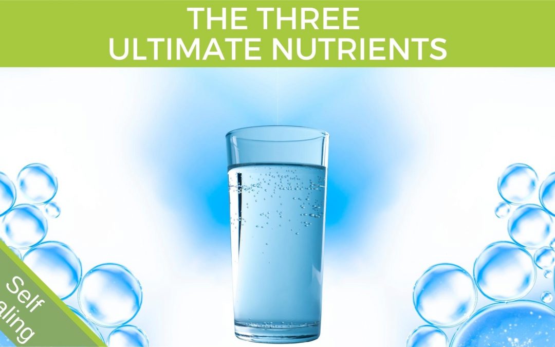 The Three Ultimate Nutrients - Brett Elliott