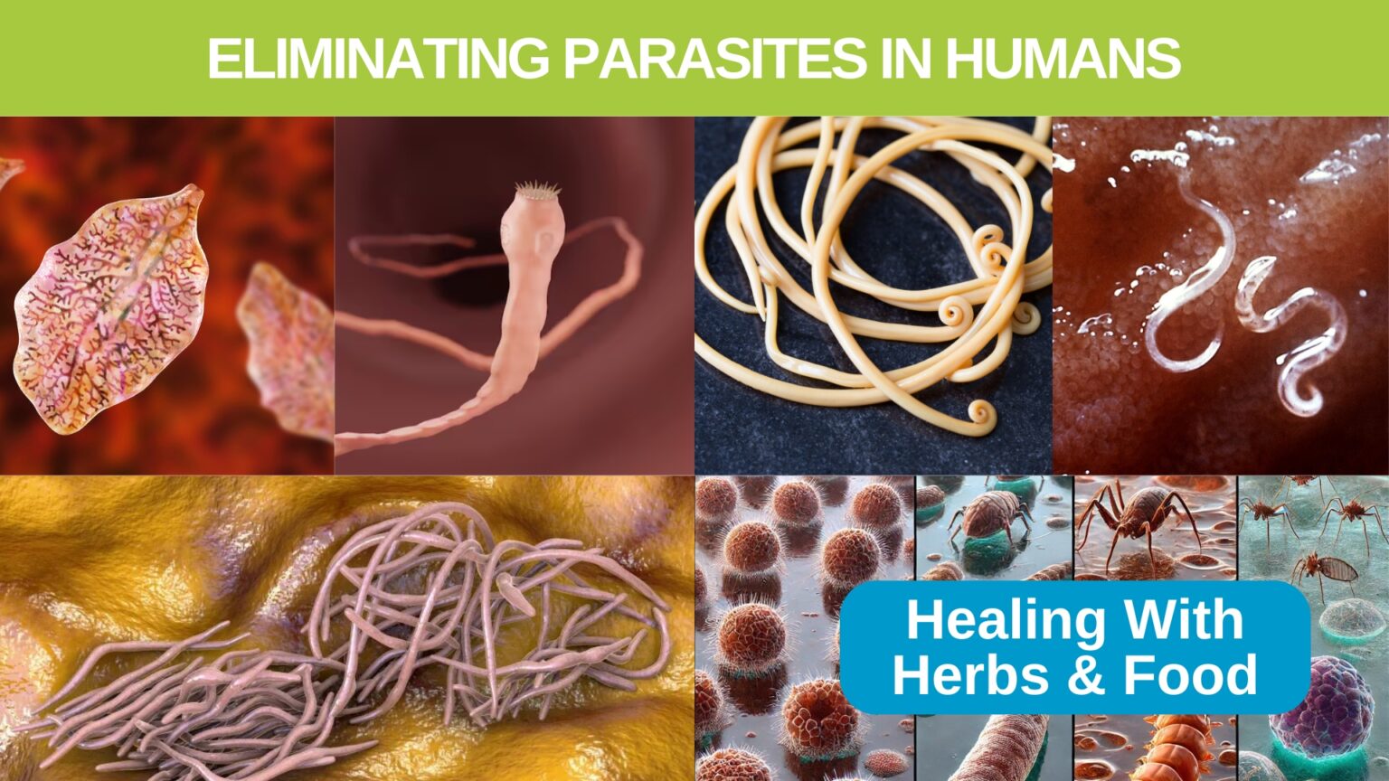 Parasite Cleanse NZ: Proven Detox for Gut Health