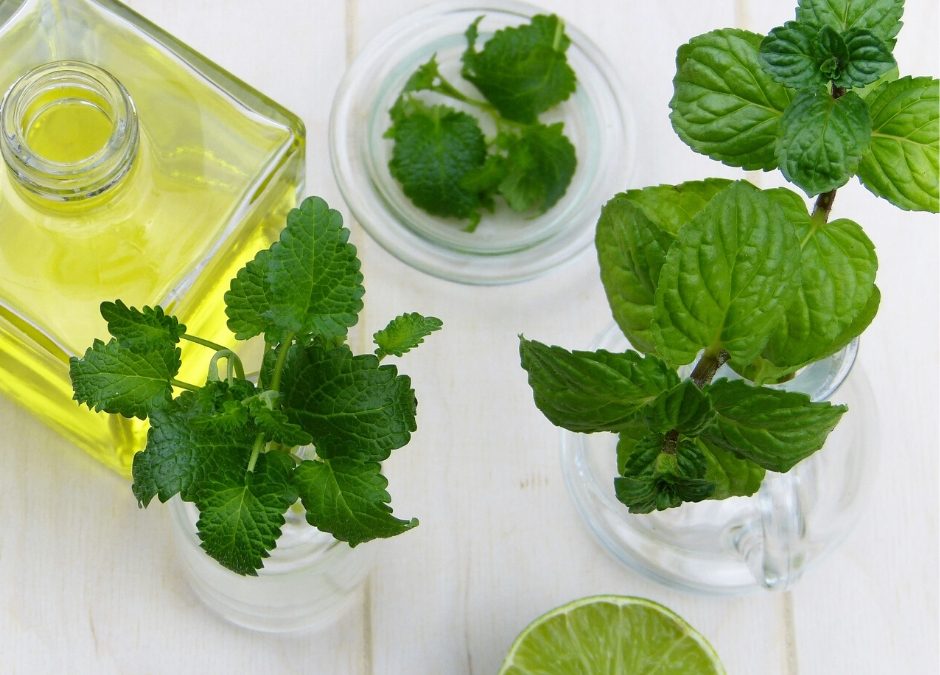 Peppermint (Mentha Piperita) Monograph - Brett Elliott