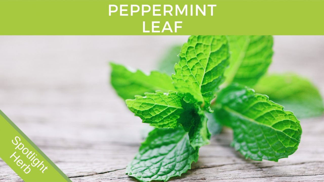 Peppermint (Mentha Piperita) Monograph - Brett Elliott