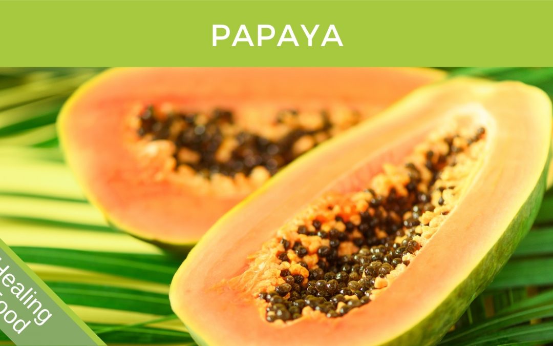 Papaya Carica Papaya Extract Papain Brett Elliott papaya-carica-papaya-extract-papain-brett-elliott