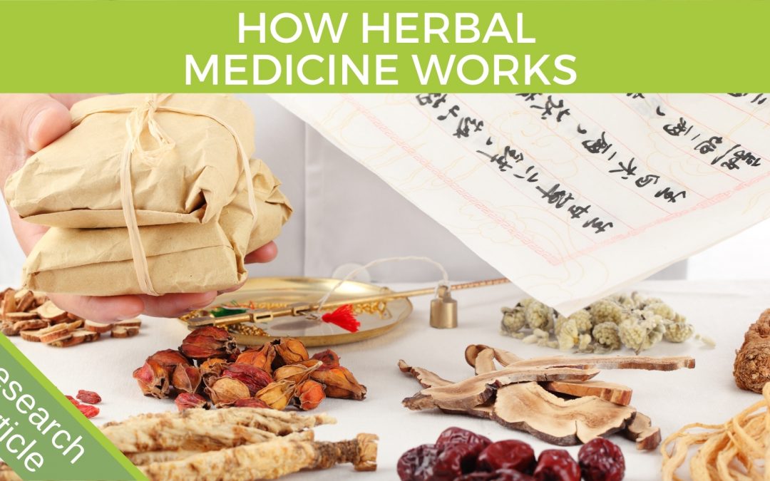 How Herbal Medicine Works - Brett Elliott