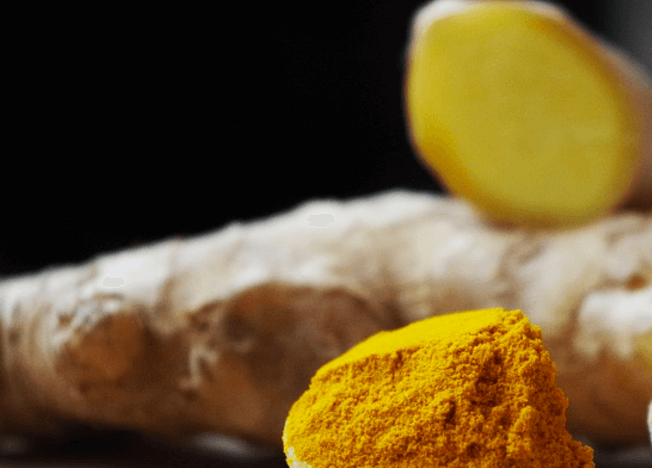 Turmeric (Curcuma longa) Health Benefits - Brett Elliott