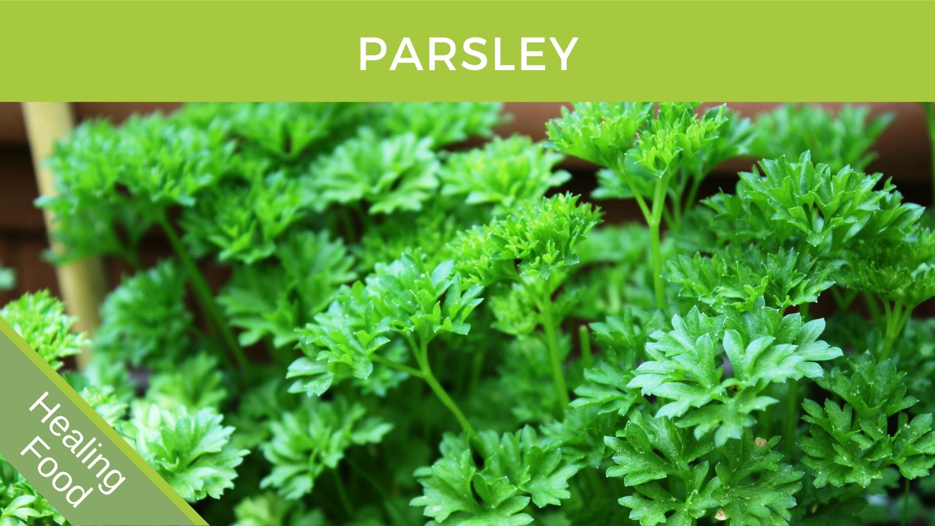 Parsley Meaning In Hindi