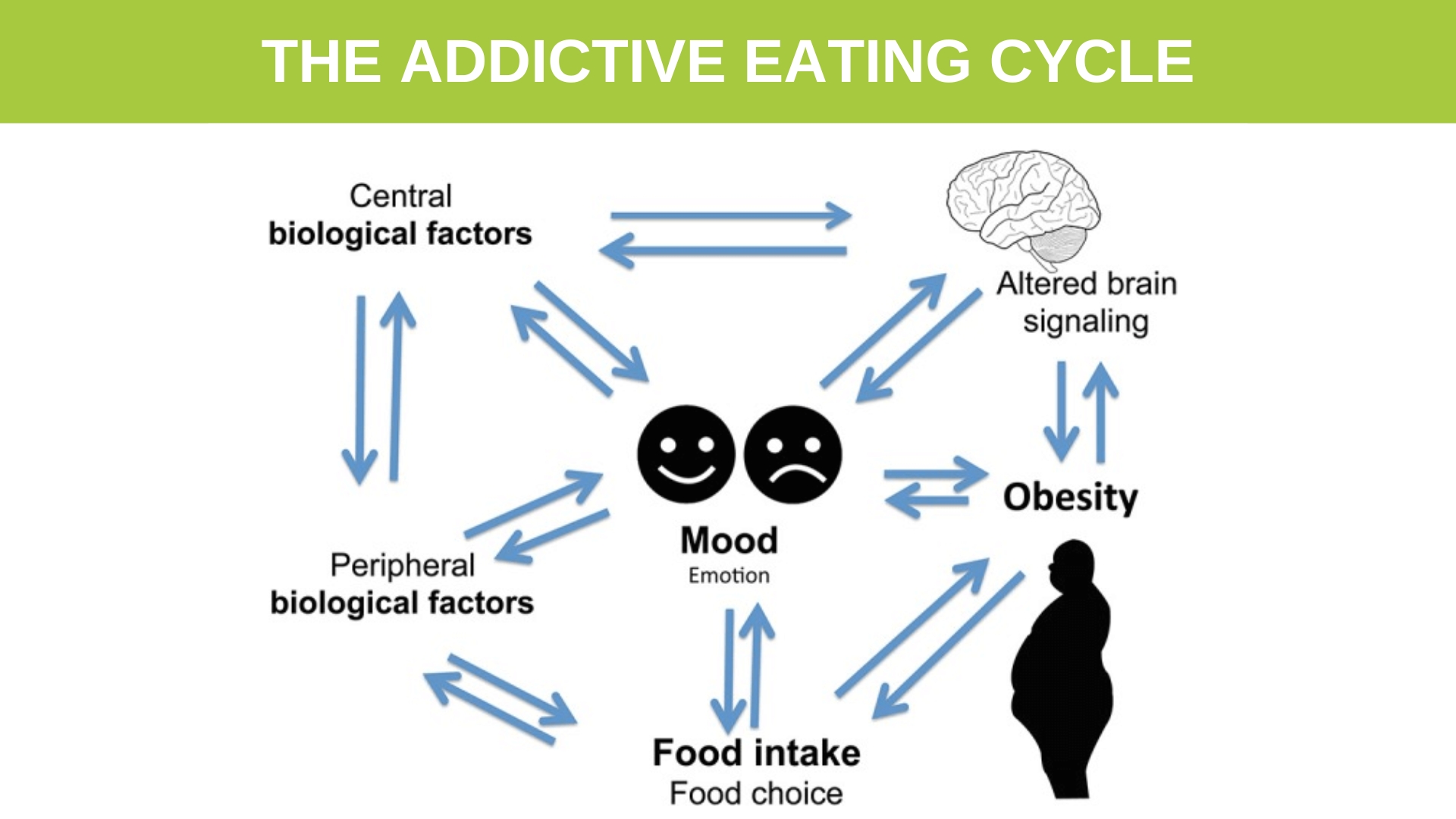 4 Pillars of Healing the Gut-Brain Connection