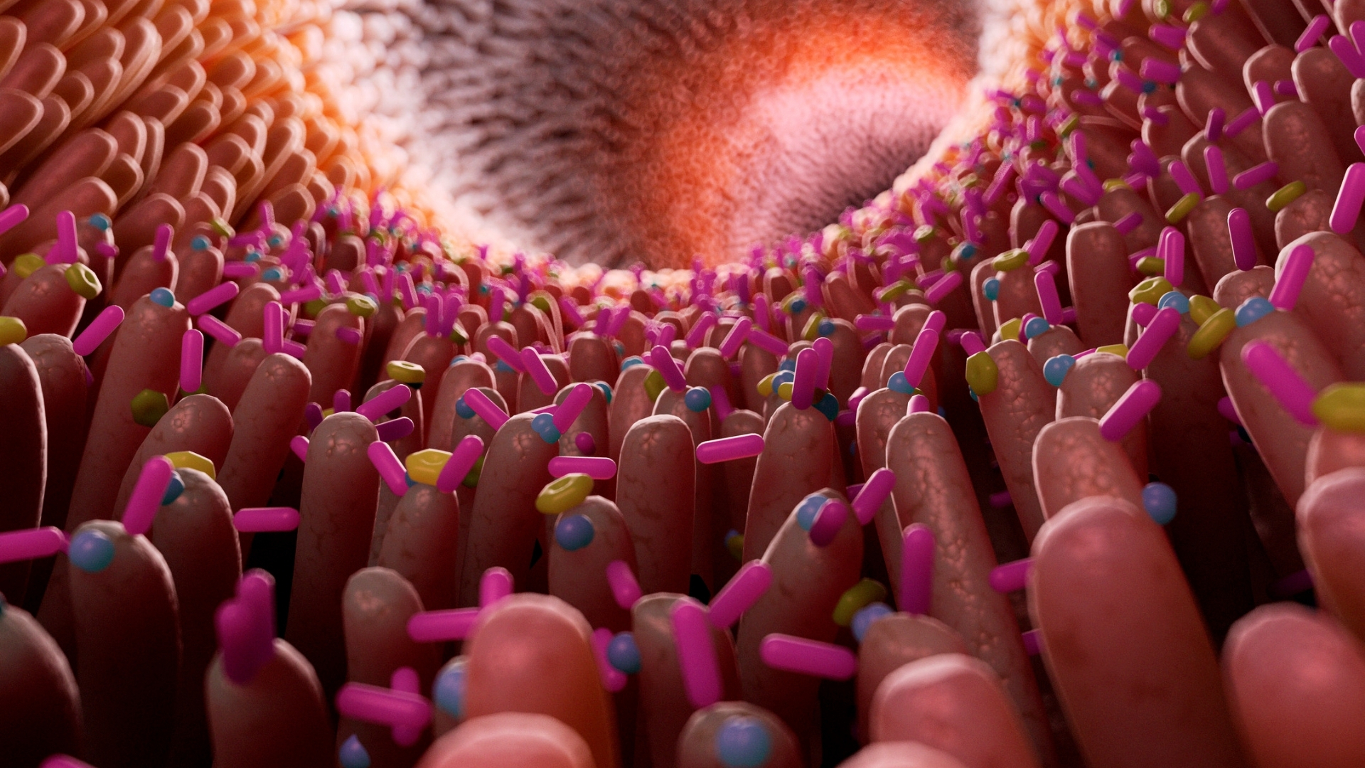 Natural Thrush Treatment NZ - Thrush Treatment For Men