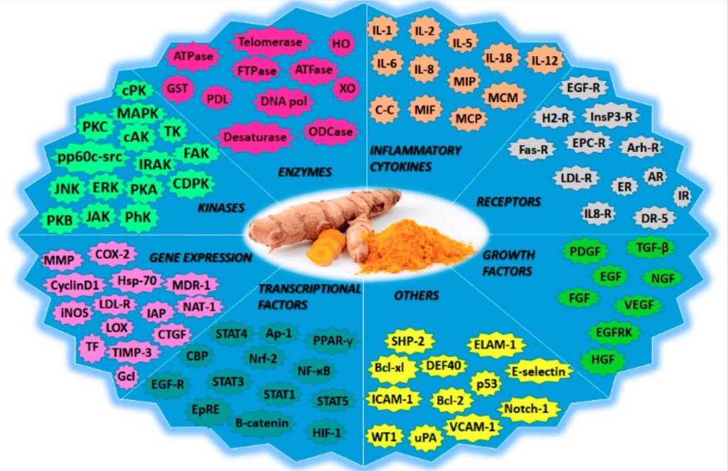 Turmeric (Curcuma longa) Health Benefits - Brett Elliott